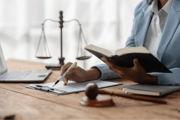 Summer School in Spanish Law, Politics and Economy - Summer Schools in ...