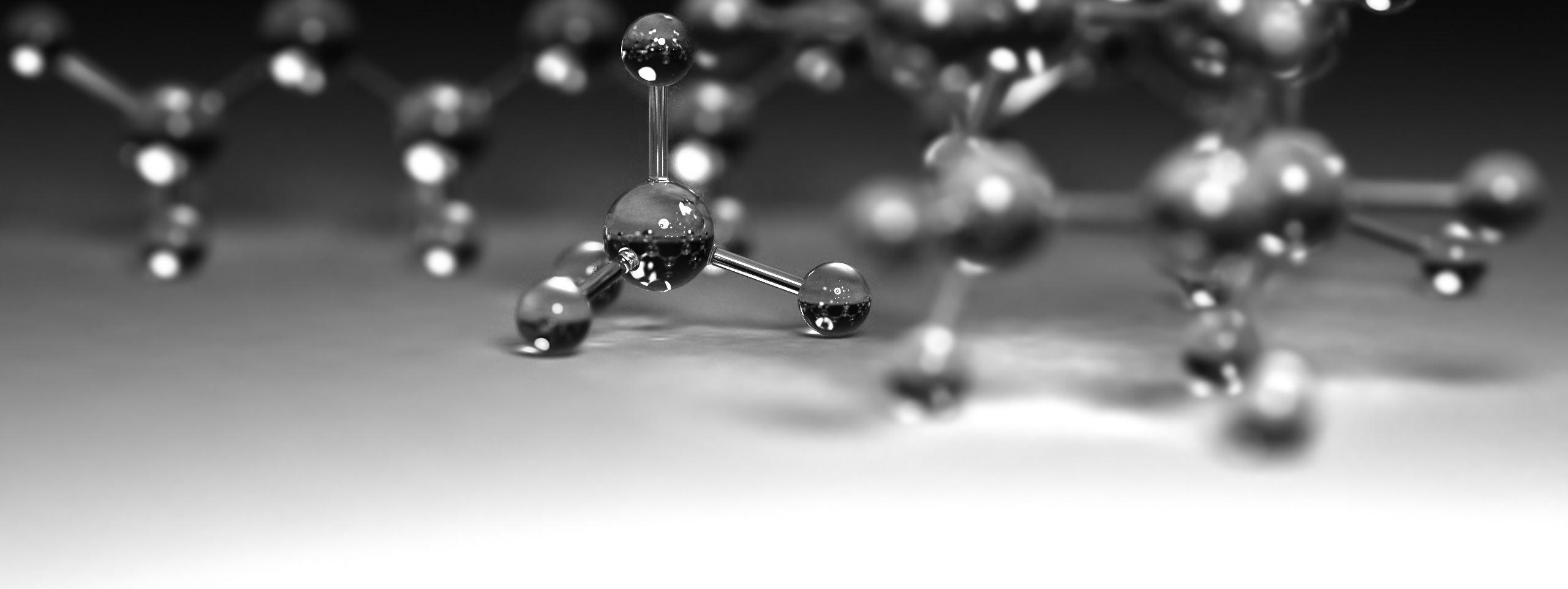 Bioactive Molecules in the Environment summer course - Summer Schools ...