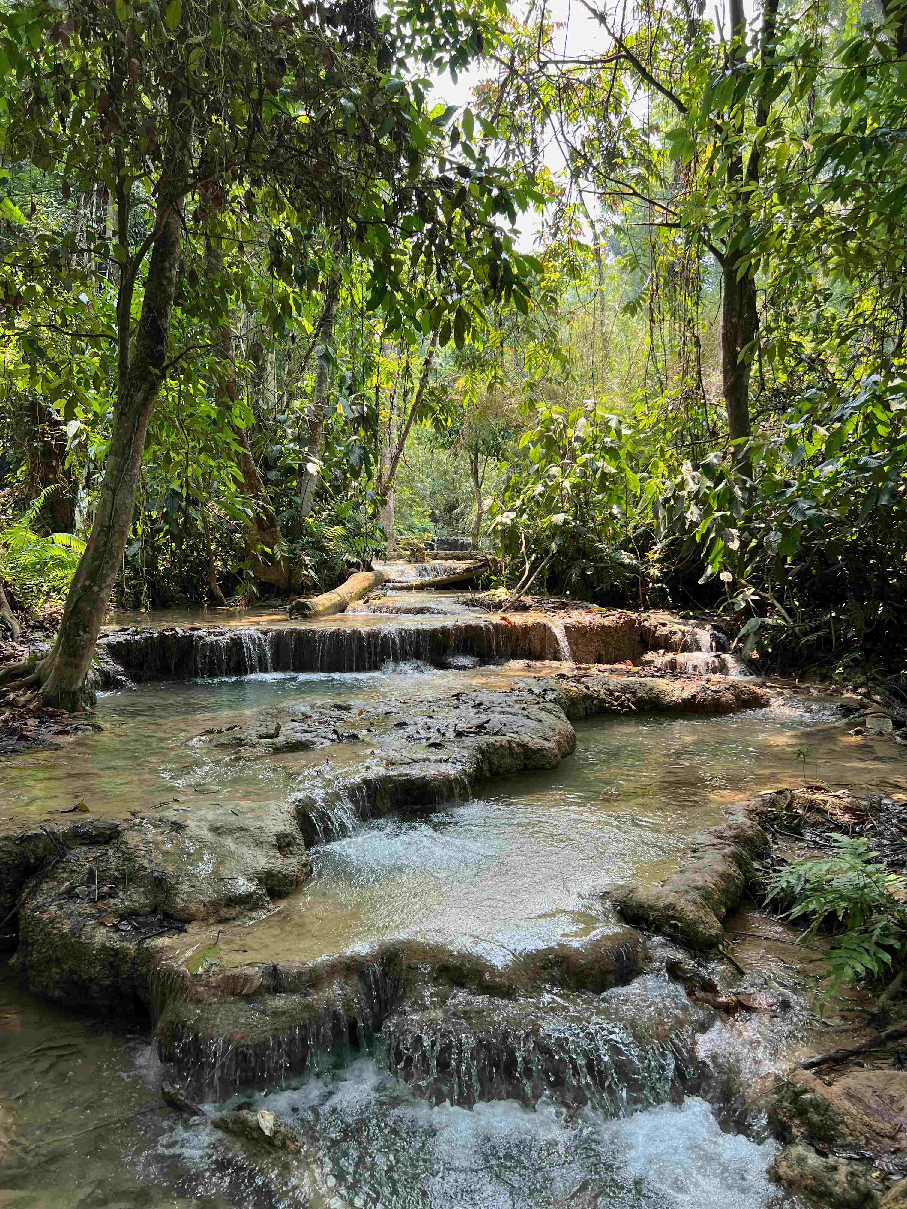 Course 1 summer course - Summer Schools in Europe