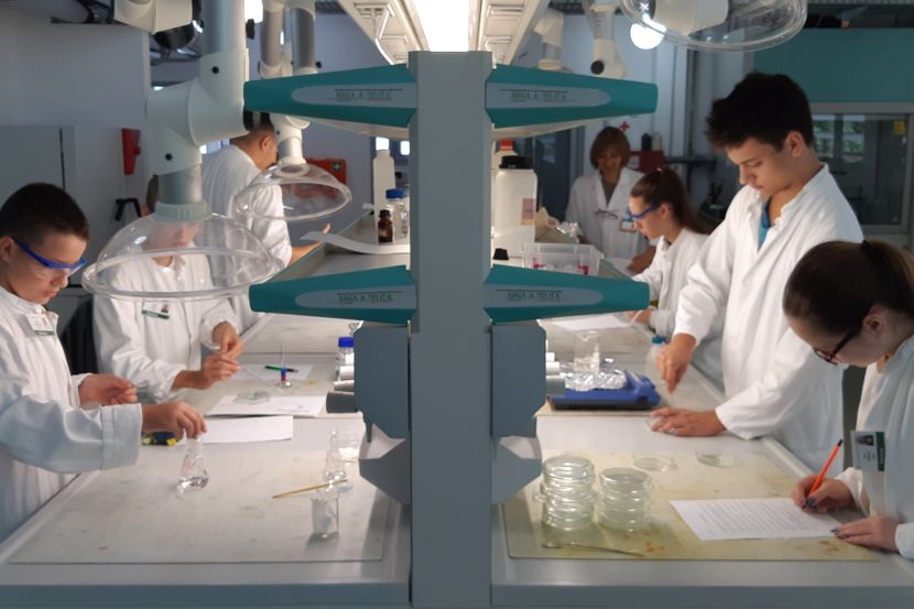 Petnica International Science Camp 2025 summer course - Summer Schools ...